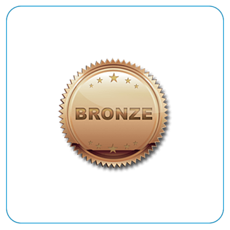 Bronze Service Plan - DiagNation.com